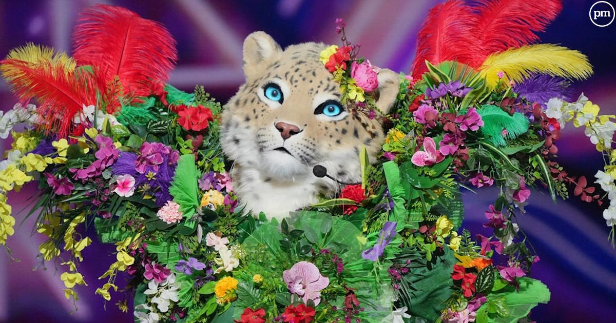 Qui se cache derrière le Léopard de "Mask Singer" saison 6 ? - photo ...
