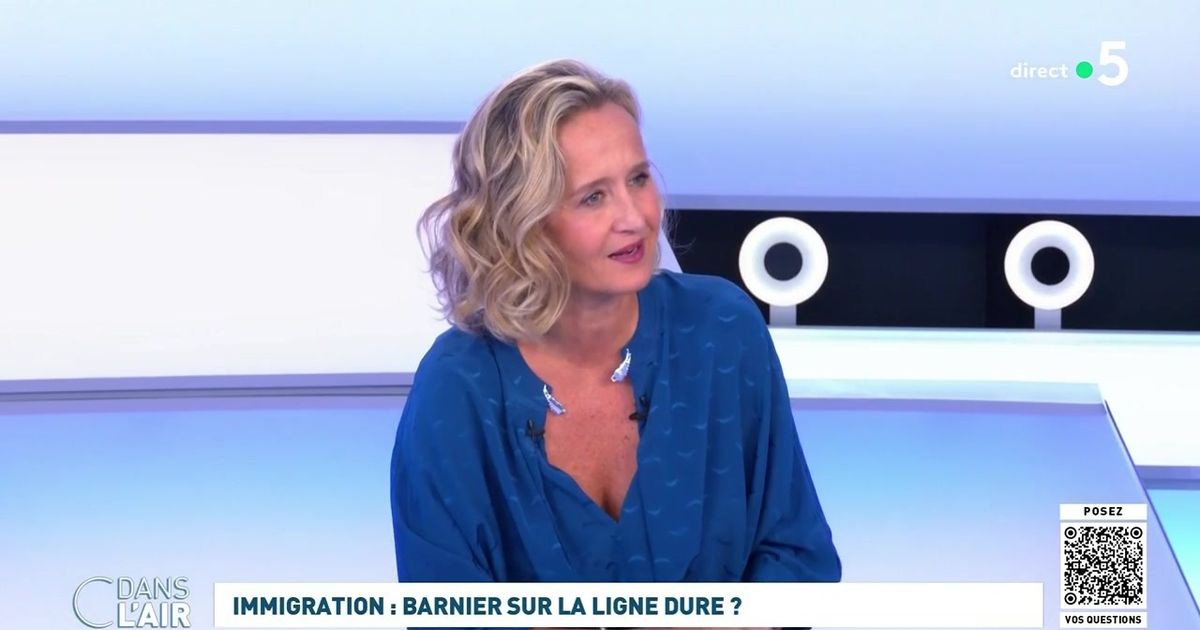 Audiences pré-access : Caroline Roux au top avec "C dans l'air" sur France 5, "N'oubliez pas les ...