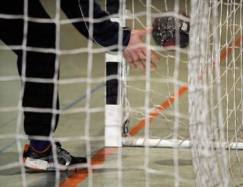 Audiences : France 2 leader l'après-midi avec le handball - Puremédias