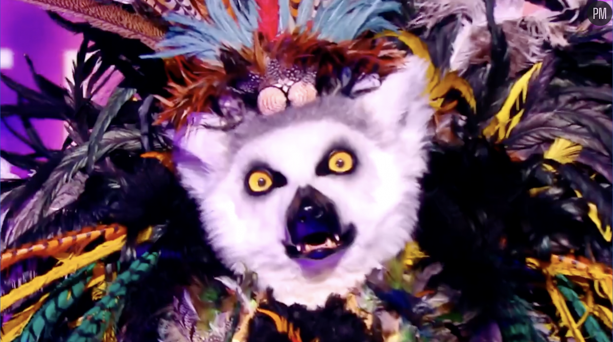 Photo : Qui se cache sous le costume du "Lémurien" dans "Mask Singer ...