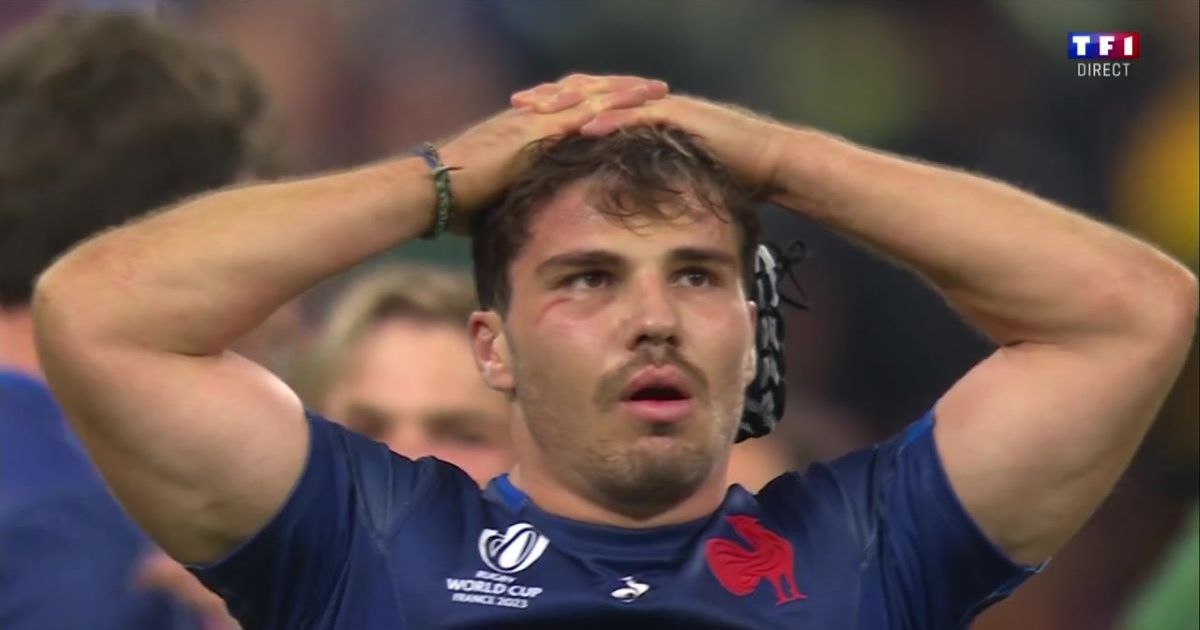 TF1 signe la meilleure audience de 2023 avec France/Afrique du Sud, quart de finale du Mondial ...