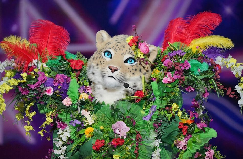 "La plus grosse surprise de toute l'histoire de 'Mask Singer'" : Qui se ...