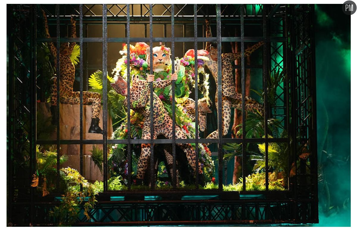 Photo : Le léopard sur la scène de "Mask Singer" 2024 - Puremédias