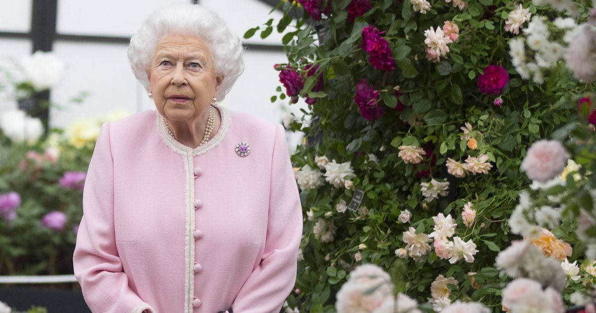 Audiences : Pari gagnant pour la soirée spéciale Elizabeth II de France ...