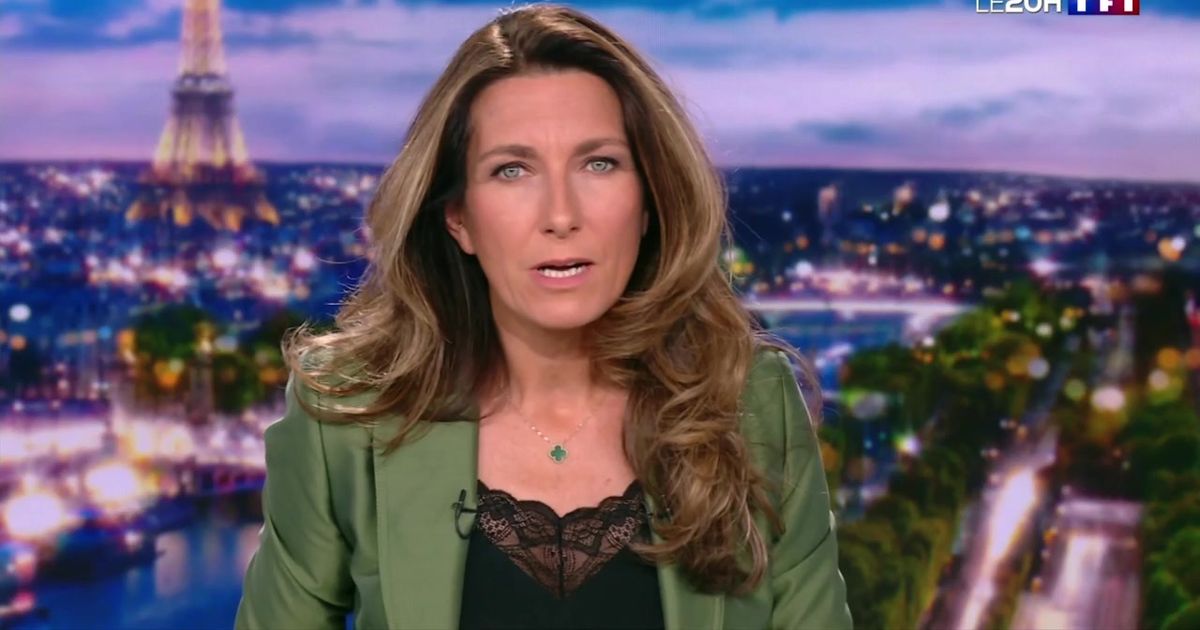 Audiences dimanche : Plus de 2 millions de téléspectateurs d'écart entre Anne-Claire Coudray sur ...