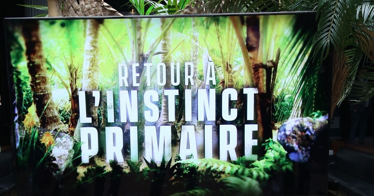 "Retour à l'instinct primaire" : RMC Découverte lance son nouveau docu ...