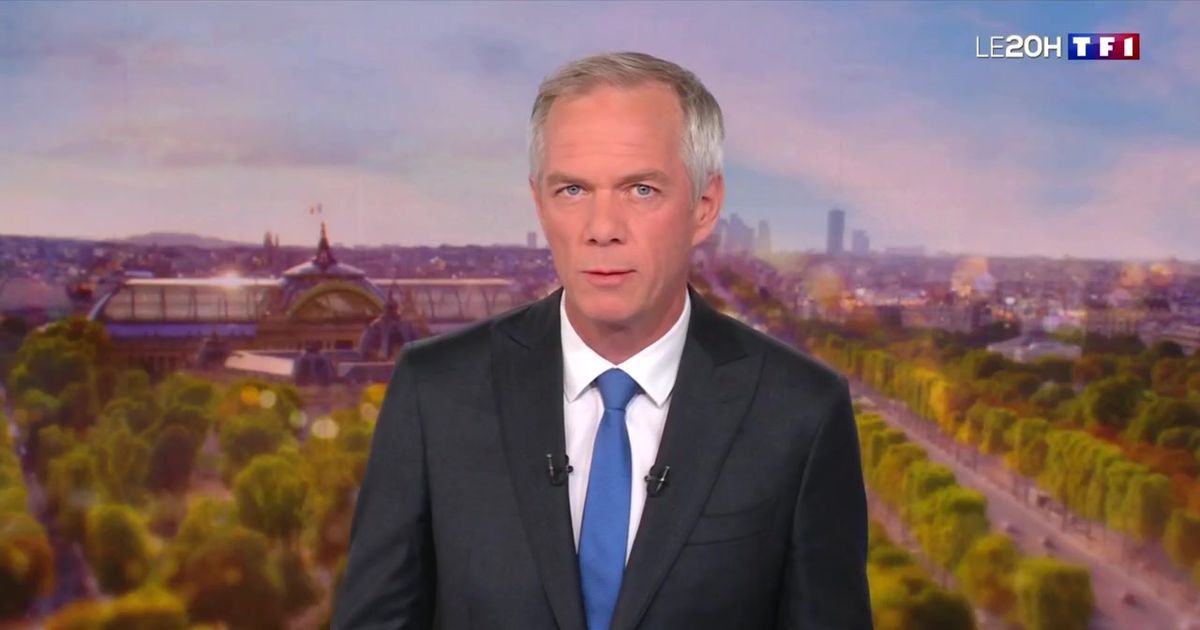 Audiences access : Le "20 Heures" de Julien Arnaud sur TF1 résiste à la tornade JO de Paris 2024 ...