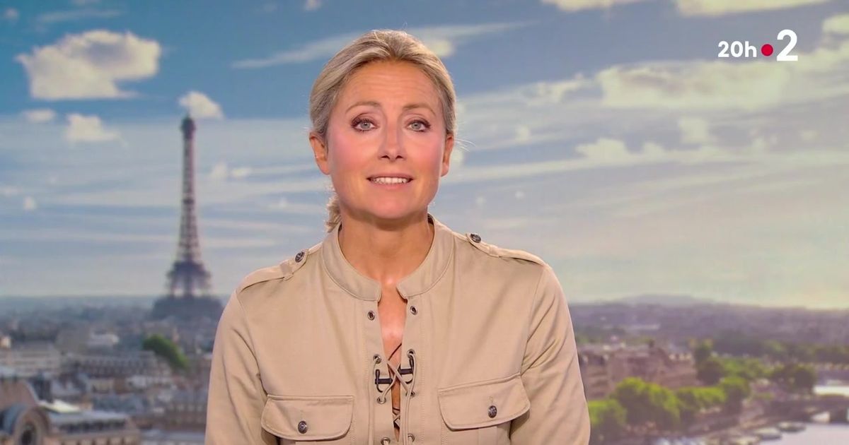 Audiences access 20h : 2 millions de téléspectateurs d'écart entre le "20 Heures" de Gilles ...