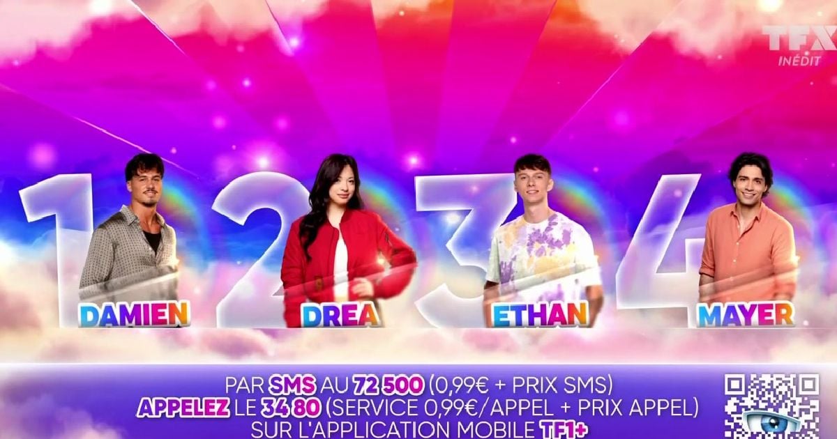"Secret Story" 2025 : Qui de Damien, Dréa, Ethan ou Mayer doit absolument être sauvé ? Votez ...