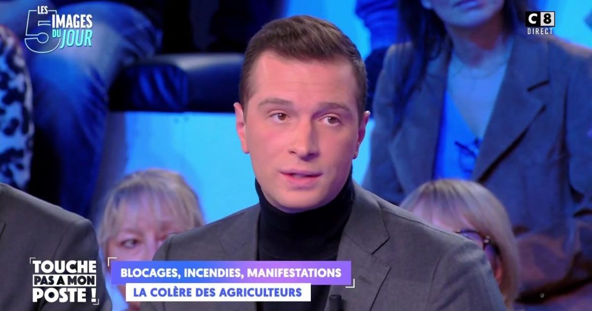 Audiences access 20h : Jordan Bardella offre un record historique à "TPMP" et Cyril Hanouna sur ...