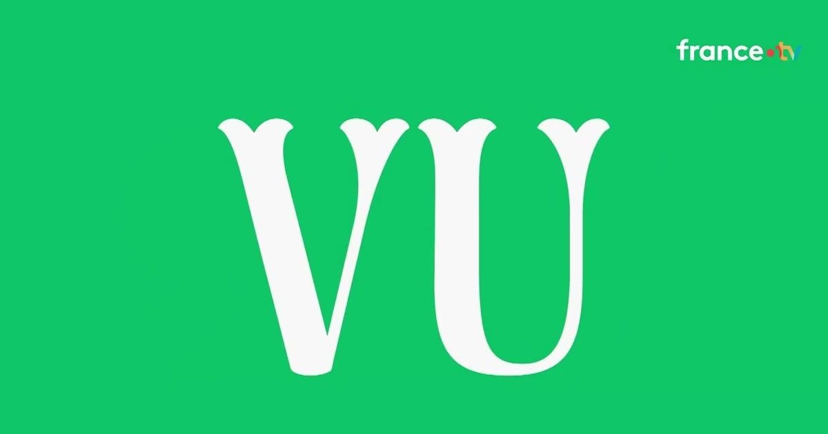 "Vu", le zapping de France Télévisions, c’est fini ! - Puremédias