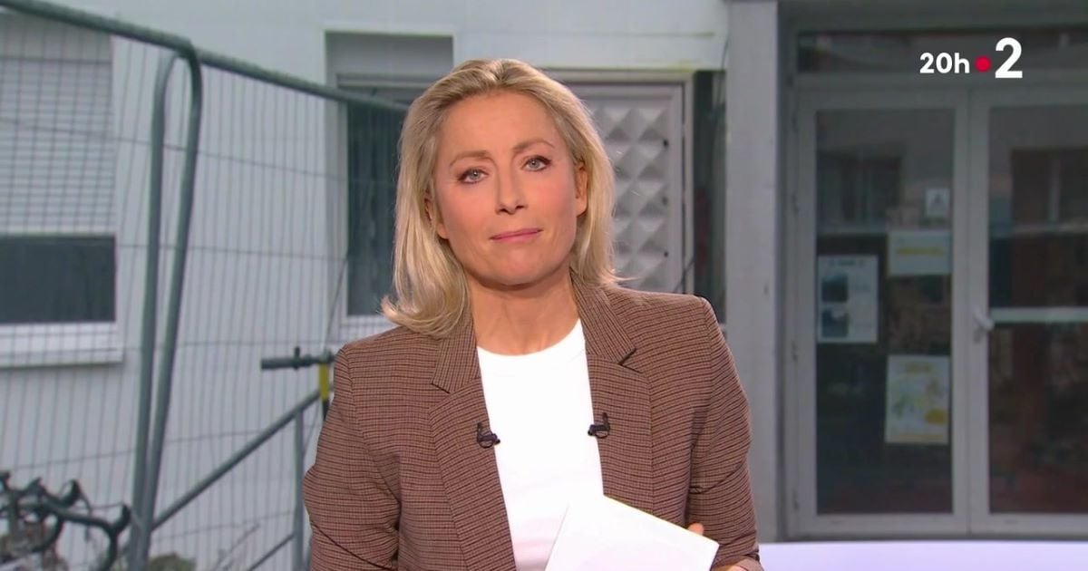 Audiences access 20h : Près d'1,5 million de téléspectateurs d'écart entre les "20 Heures" de ...