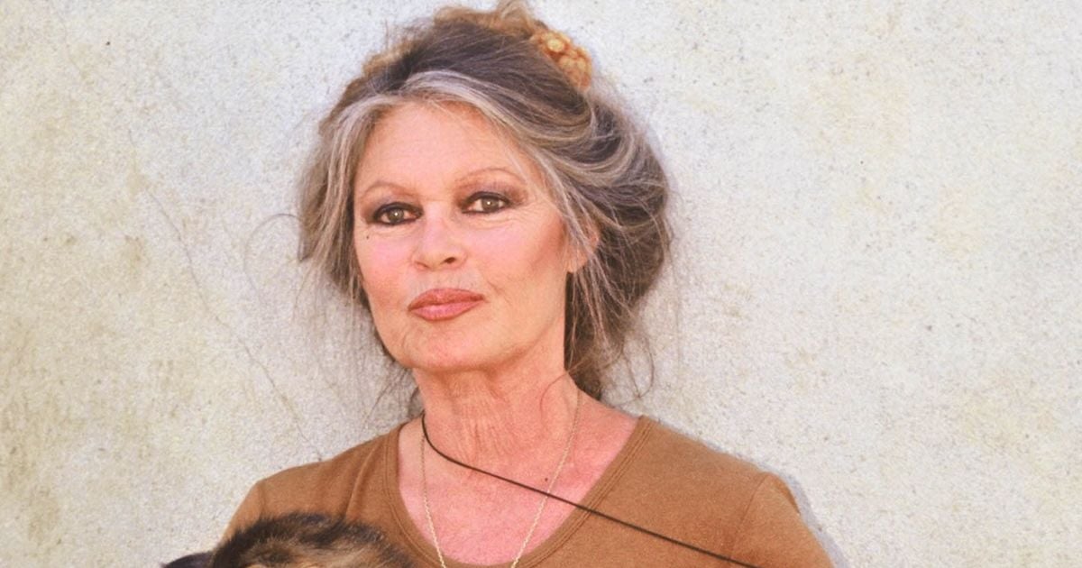Brigitte Bardot est morte à l'âge de 91 ans - Puremédias