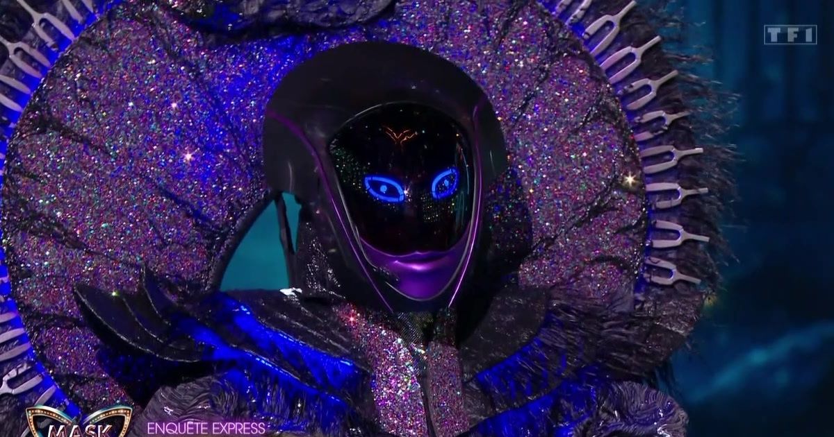 “Mask Singer” 2025 : Qui était l’enquêteur mystère qui se cachait ...
