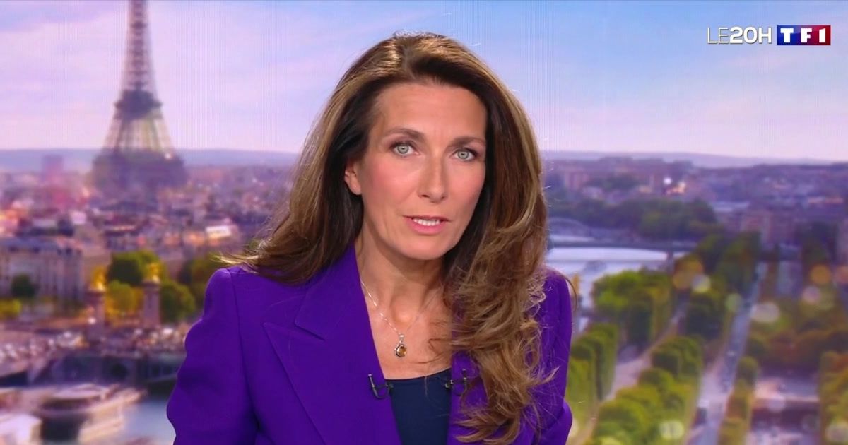 Audiences access : Plus d'1 million de téléspectateurs d'écart entre les "20 Heures" d'Anne ...