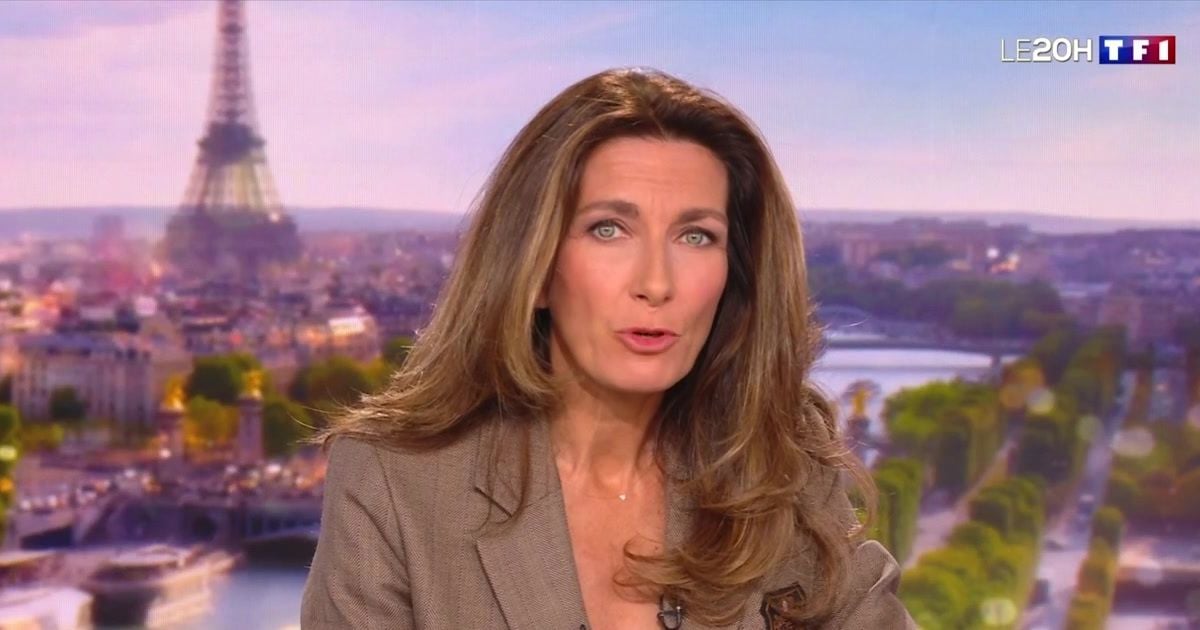 Audiences access : Anne-Claire Coudray sur TF1 creuse l'écart avec Laurent Delahousse sur France ...