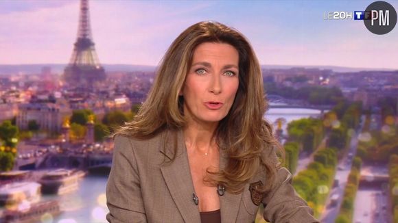 Audiences access : Anne-Claire Coudray sur TF1 creuse l'écart avec Laurent Delahousse sur France ...