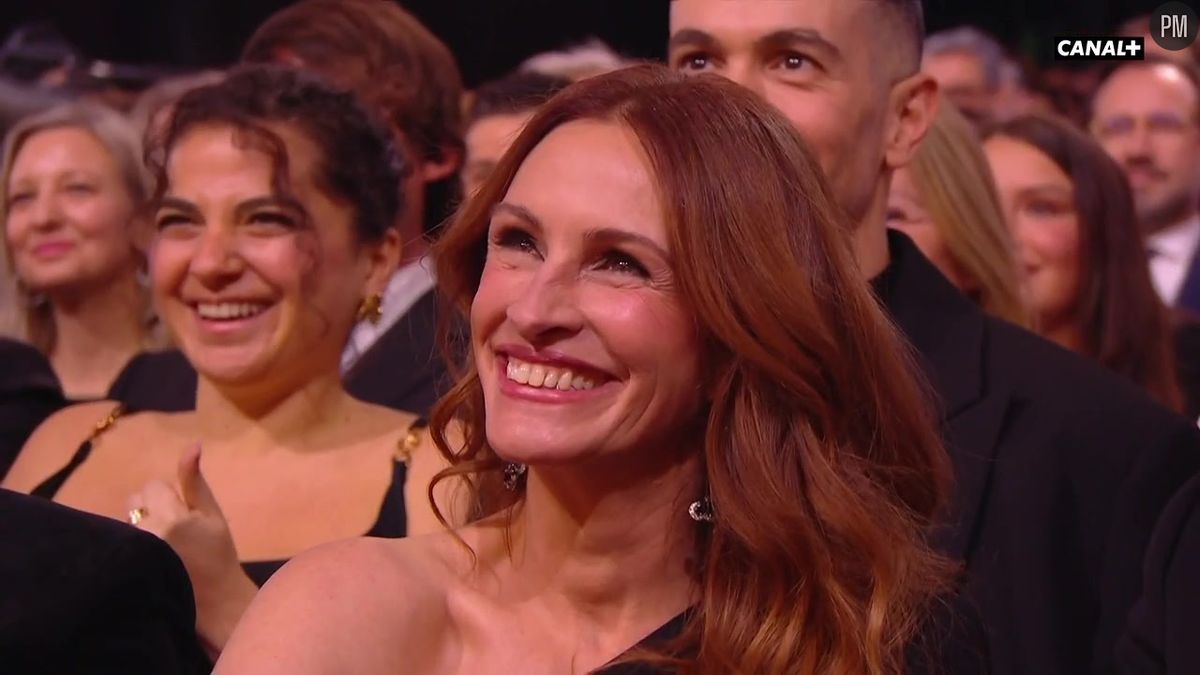 Julia Roberts: Hollywoods Enduring Icon