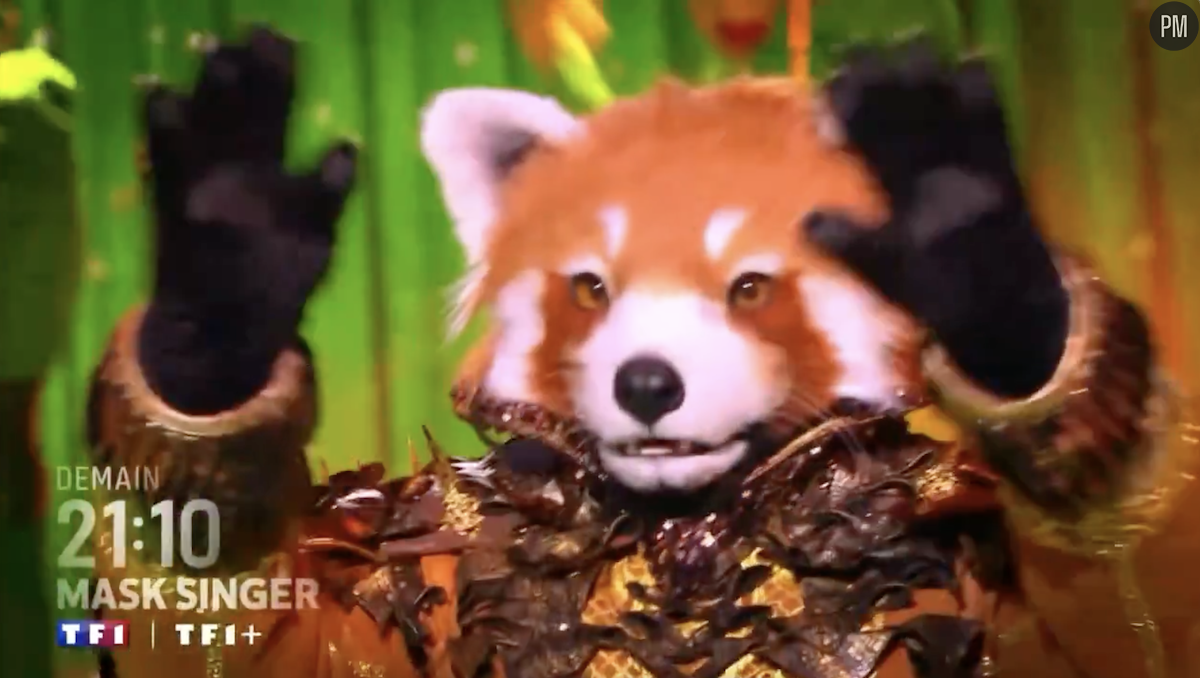 Photo : Qui se cache derrière "Le Panda Roux" de "Mask Singer" 2025 ...