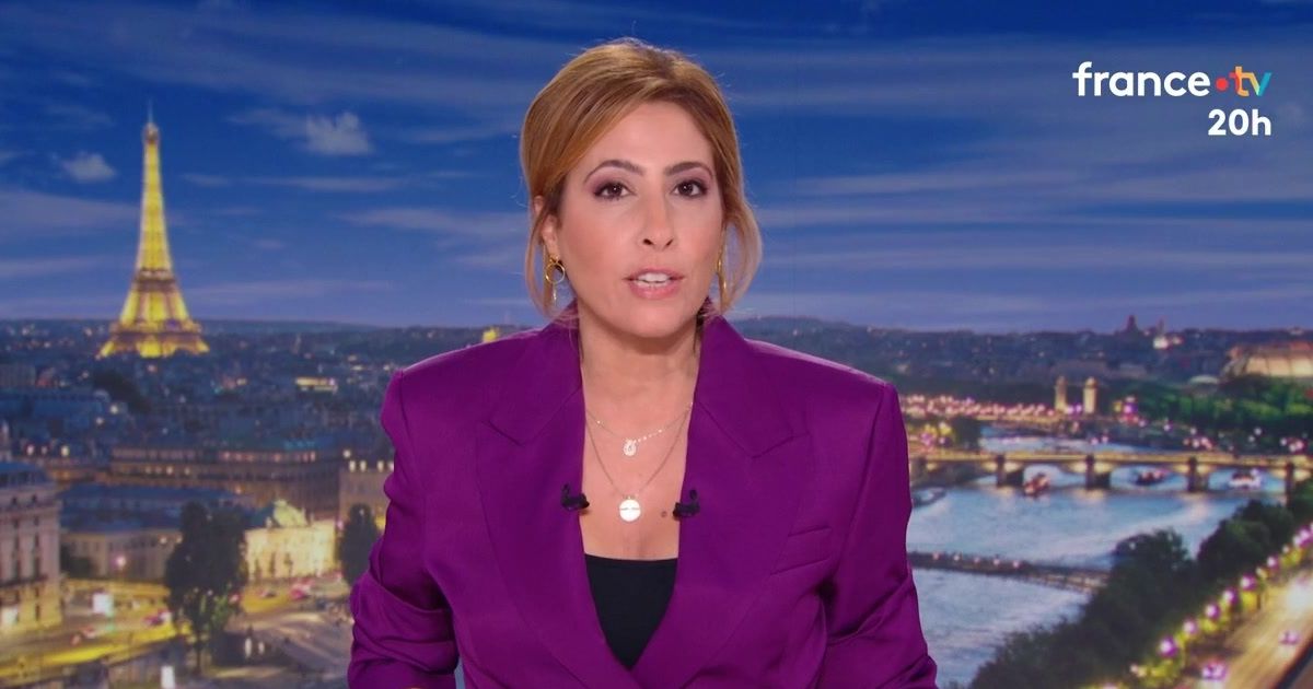 Audiences access 20h : Le "20 Heures" de Léa Salamé en hausse et en forme sur France 2 ...