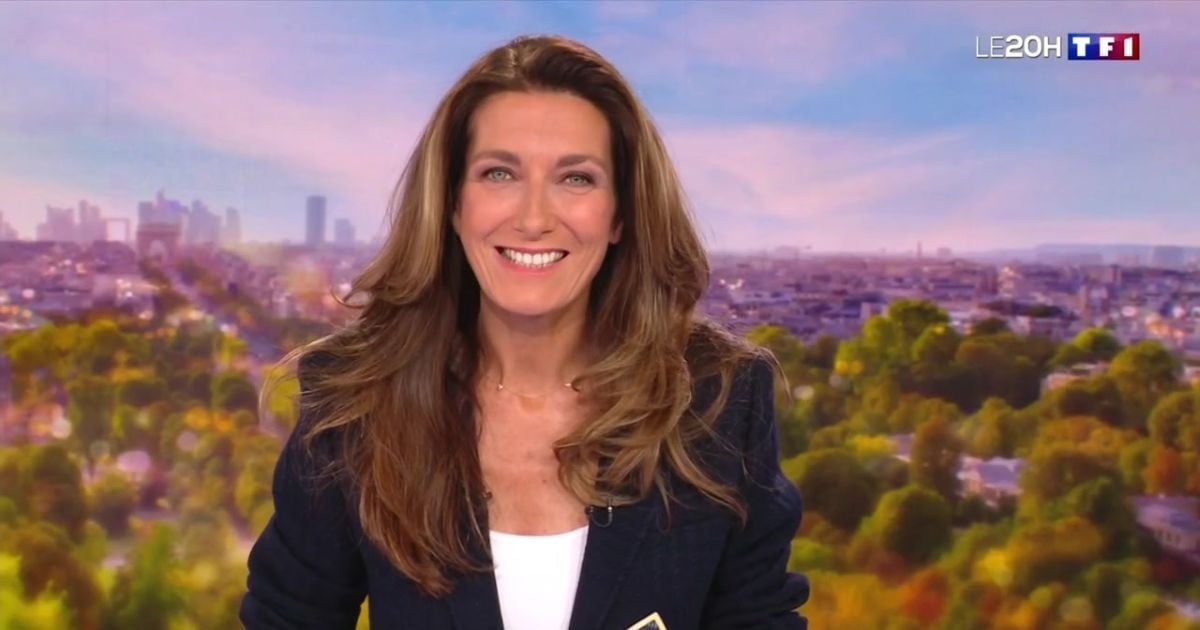 Audiences dimanche : Près d'1,8 million de téléspectateurs d'écart entre les "20 Heures" d'Anne ...