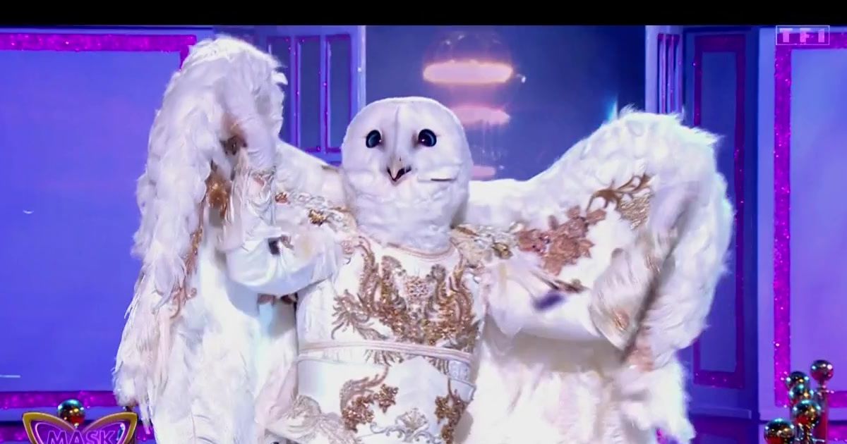 "Mask Singer" : On a démasqué la Chouette... Il s'agit d'un artiste ...